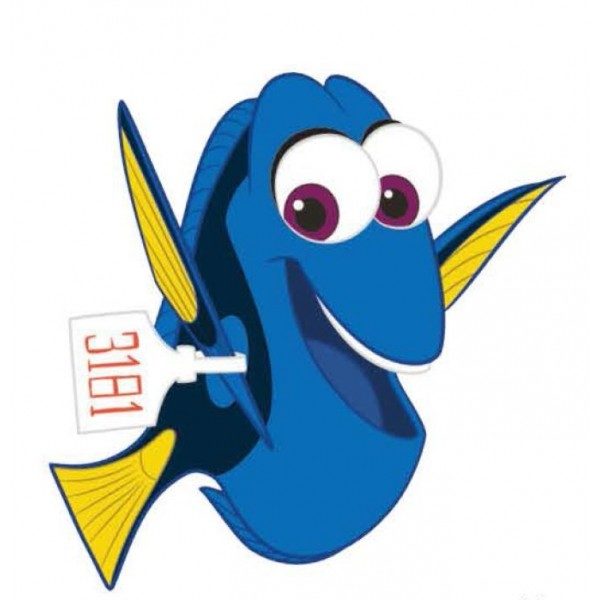 Walt Disney Finding Dory Movie Dory Soft Touch PVC Refrigerator Magnet ...